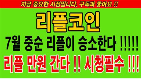 리플코인 리플코인전망 Sec 승소기대감 코인전망 비트코인 이더리움 도지코인 Youtube