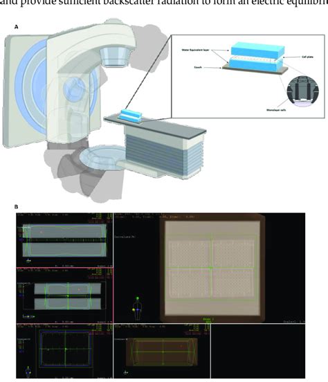 A Schematic Diagram Of Cell Irradiation Setup With 6 Mv Photon Beam Download Scientific