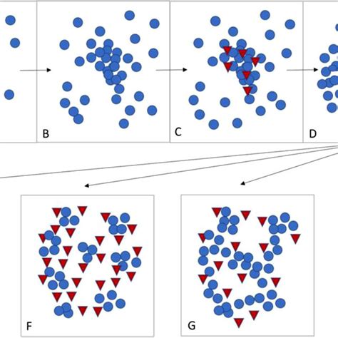 Schematic Example Of Reaction Diffusion Systems Blue Circles Are