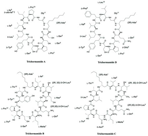 Structure Of Trichormamides A B C And D As Described By Luo Et Al Download Scientific