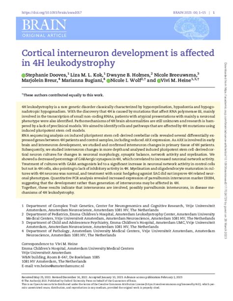 Pdf Cortical Interneuron Development Is Affected In 4h Leukodystrophy Vivi Heine