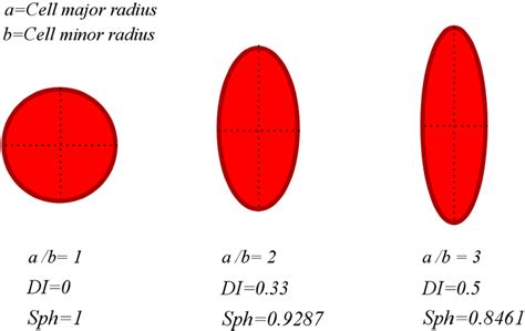 Deformation Indices Of Several Example Shapes Download Scientific Diagram