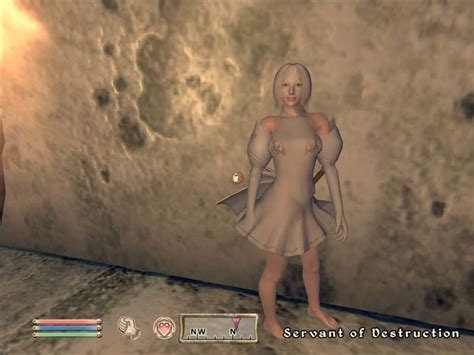 Hentai Mania 1 Some Skimpy Armors Downloads Oblivion Adult And Sex