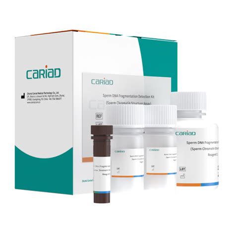 Sperm Dna Fragmentation Detection Kit