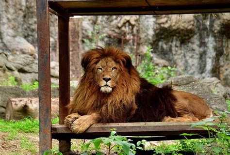 砥部動物園です agohige hiroⅡ