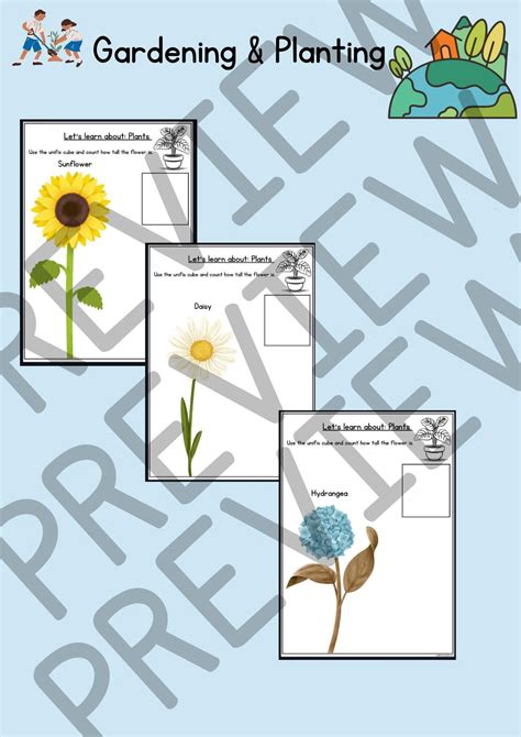 Numeracy Counting Template Flower Counting Plant Counting