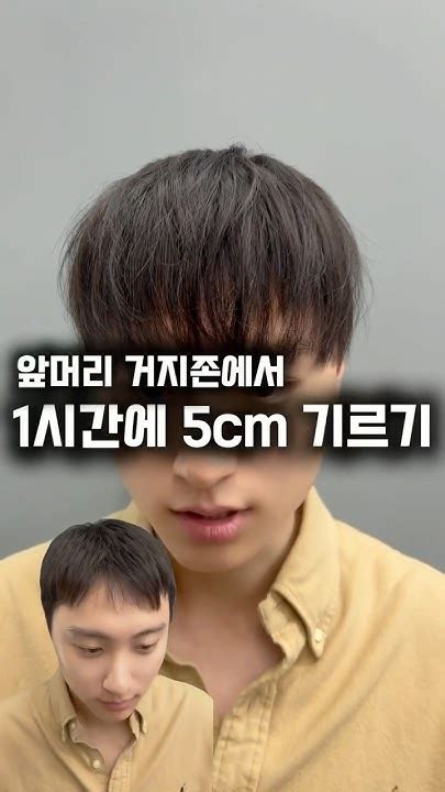 봄이든헤어 앞머리전용x2피스 붙임머리 출시기념 이벤트 특가 행사중🌸 붙임머리이벤트 남자거지존 머리기르기 남자붙임머리