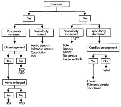 Congenital Heart Disease Algorithm Radiology Notes