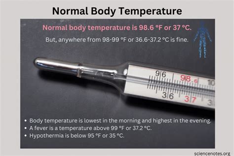 What Is Normal Body Temperature
