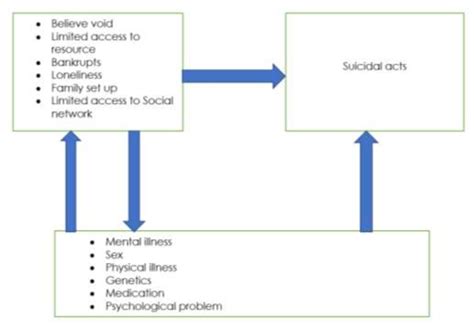 The Model Showing The Causal Relationship Between Depression And Other Download Scientific