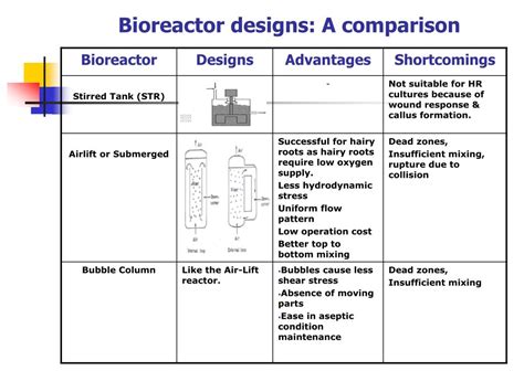 Ppt Plant Parts And Their Main Functions Powerpoint Presentation Free Download Id5385257
