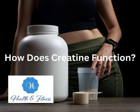 Does Creatine Make You Gain Weight Uncovering The Facts