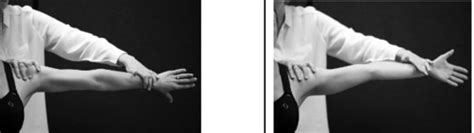 Rotator Cuff Tests Flashcards Quizlet