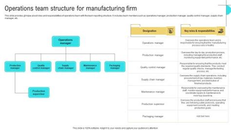 Operations Team Structure Business Performance Optimization New