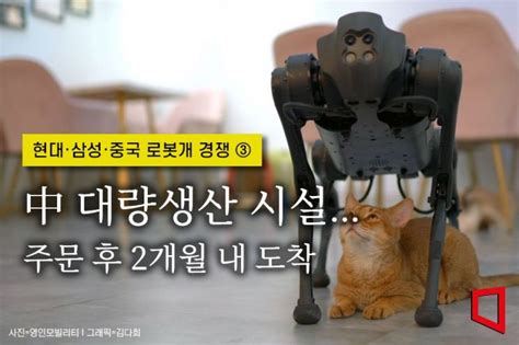현대·삼성·중국 로봇개 경쟁 韓 안방 파고드는 中값싸고 사용자 친화적 아시아경제