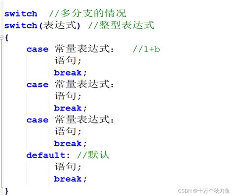 分支与选择 CSDN博客