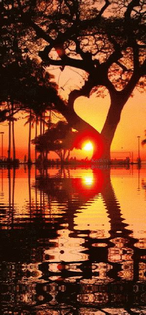 Landscape Water Reflection Animation Water Reflections Animated Graphics Landscapes