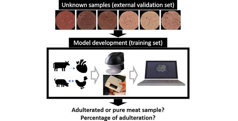 foods free full text detection of meat adulteration using spectroscopy based sensors