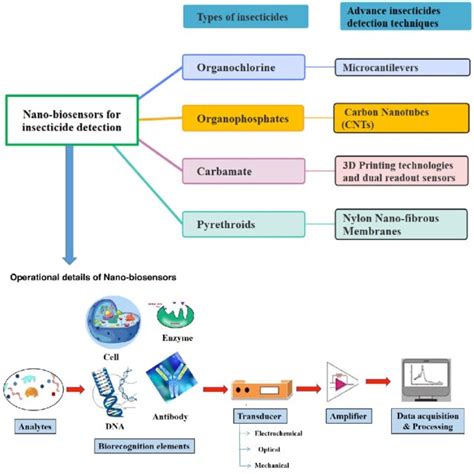 Different Kinds Of Nano Biosensor Detection Approaches For Detecting Download Scientific