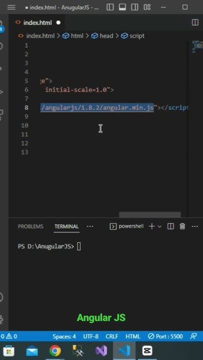 How To Install And Download Angularjs Angular Shorts