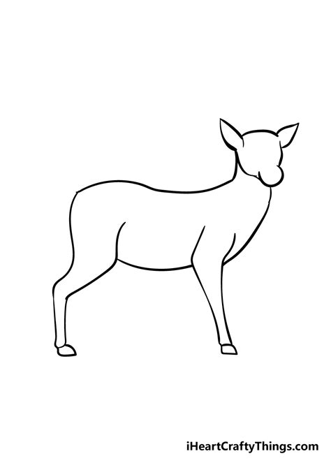 How To Draw A Deer Sketchok Easy Drawing Guides