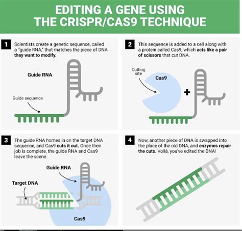 How Can Gene Therapy Treat Parkinsons Disease OxJournal