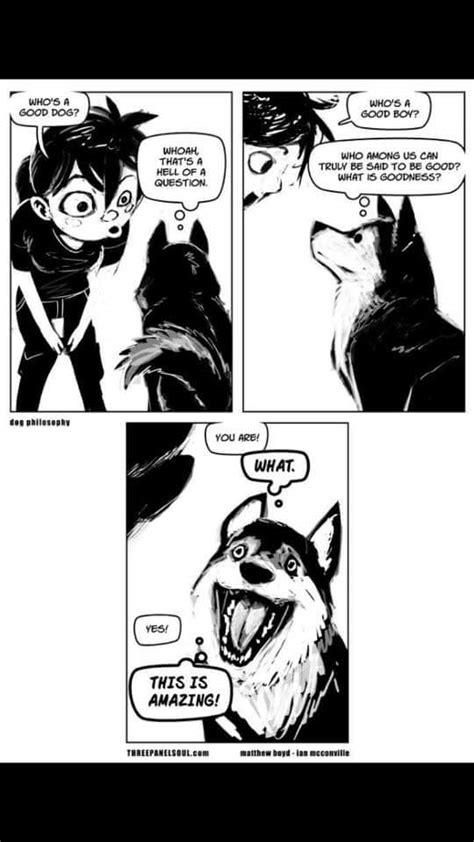 Speak Boy Speak Imgur