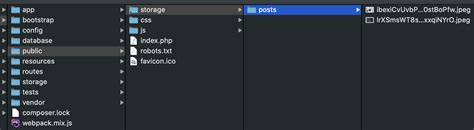 Laravel 7 Not Getting Storage Image Path Correctly Stack Overflow