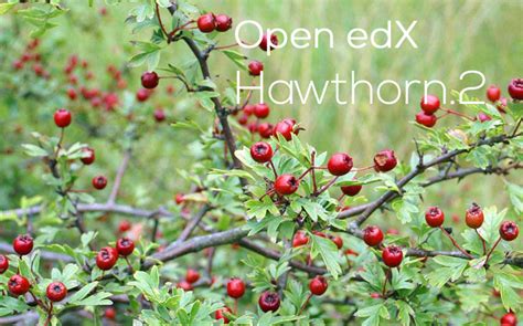 EdX Recommends Upgrading Its Open EdX Platform To Hawthorn 2 IBL News