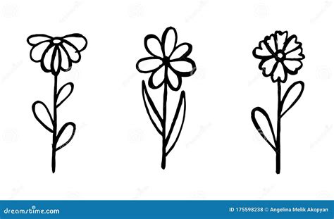 Set Of Simple Summer Flowers Drawings Abstract Flower Illustration