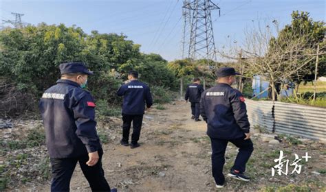 巩固禁毒工作成果陆丰多地开展禁种铲毒主题活动 城东镇 毒品 清查