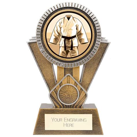 Apex Martial Arts Gi Trophy