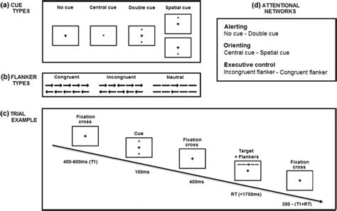 description of the attention network task presenting a the four download scientific diagram