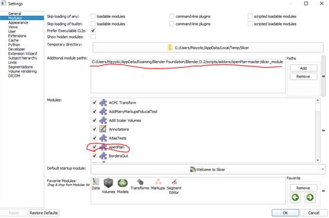 Setting Widget Variable From Python Code On Slicerexe Start