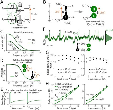 Py Neuron Model Parameter Fitting And Response Properties A Download Scientific Diagram