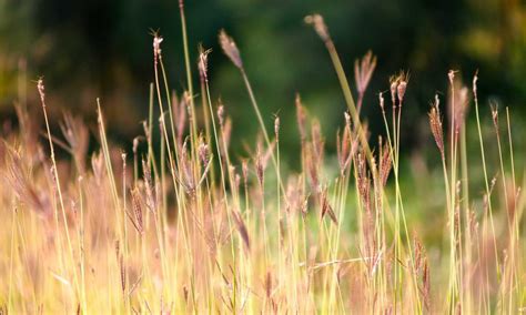 Mastering The Art Of Version Control Git Essentials For Developers — Association Of Registered