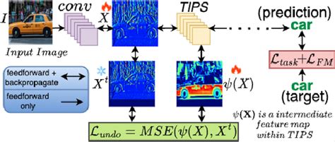 Table 1 From Improving Shift Invariance In Convolutional Neural Networks With Translation