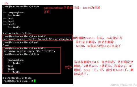 装杯 之 Linux 指令1 Csdn博客