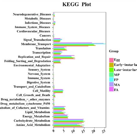 Comparison Of Predicted Kegg Functions Of Gut Bacteria In The