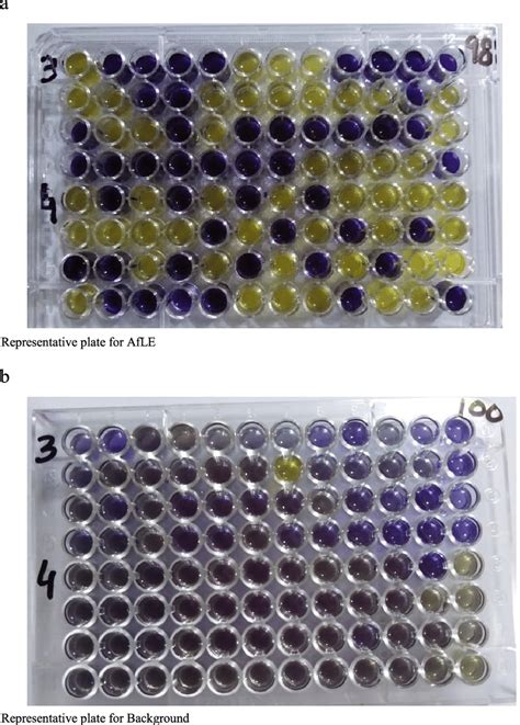 Antimutagenic Activity Of Selected Extracts Against Salmonella Download Scientific Diagram
