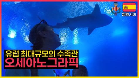 유럽에서 가장 큰 아쿠아리움 오세아노그라픽 스페인35 Youtube