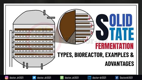 Solid State Fermentation Ssf Process Types Organisms Applications And Limitations