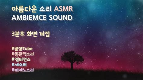 나랑 별 보러 갈래 듣기좋은🌙 엠비언스 피아노 새소리 Asmrㅣ수면유도ㅣ광고없음ㅣ자장가ㅣ잠 잘오는 빗소리 Rain Soundㅣ3분후 화면 꺼짐 Youtube