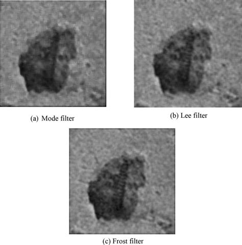 Restored Images Corrupted With Combination Of Gaussian And Speckle