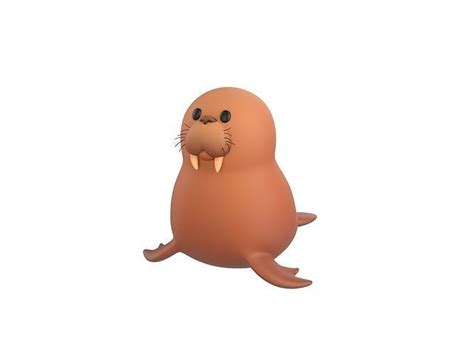 Character275 Walrus 3d Model Cgtrader