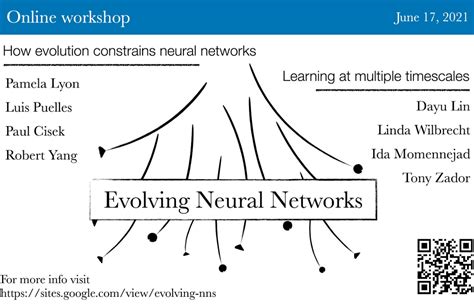 Evolving Neural Networks Workshop — Brain Circuits And Behavior Lab