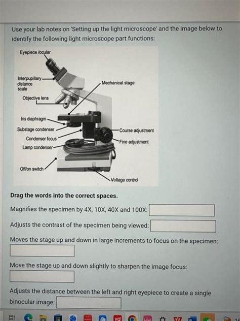 Solved Use Your Lab Notes On Setting Up The Light Chegg