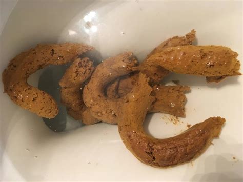 Another Recent Dump Compilation ThisVid Com