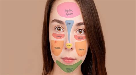 Face Mapping What Science Says How It Works DorothyHealth Com