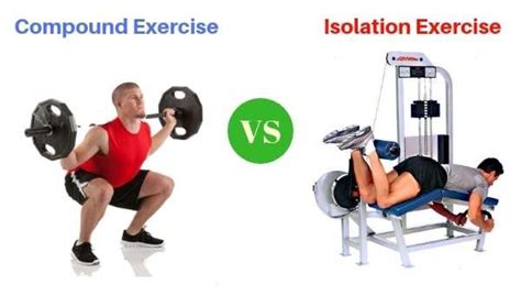 Compound Exercises And Isolation Exercises When Should I Do What